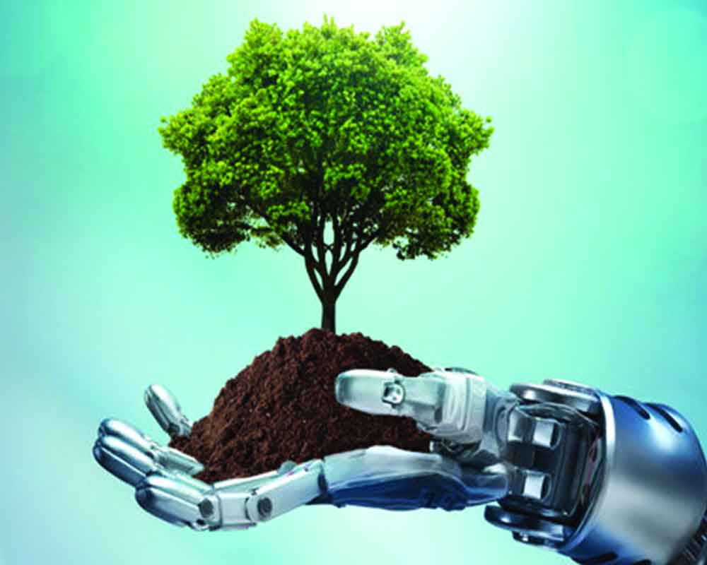 Helping environment with AI – Smiling Tree